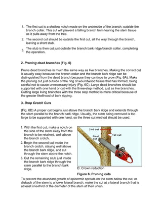 Arboriculture | PDF