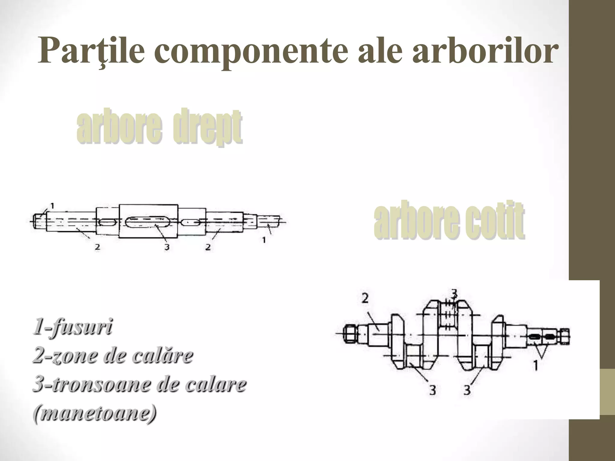 arbori_osii.ppt