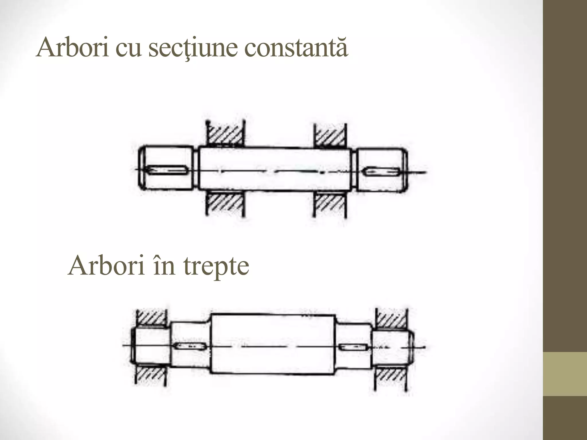 arbori_osii.ppt