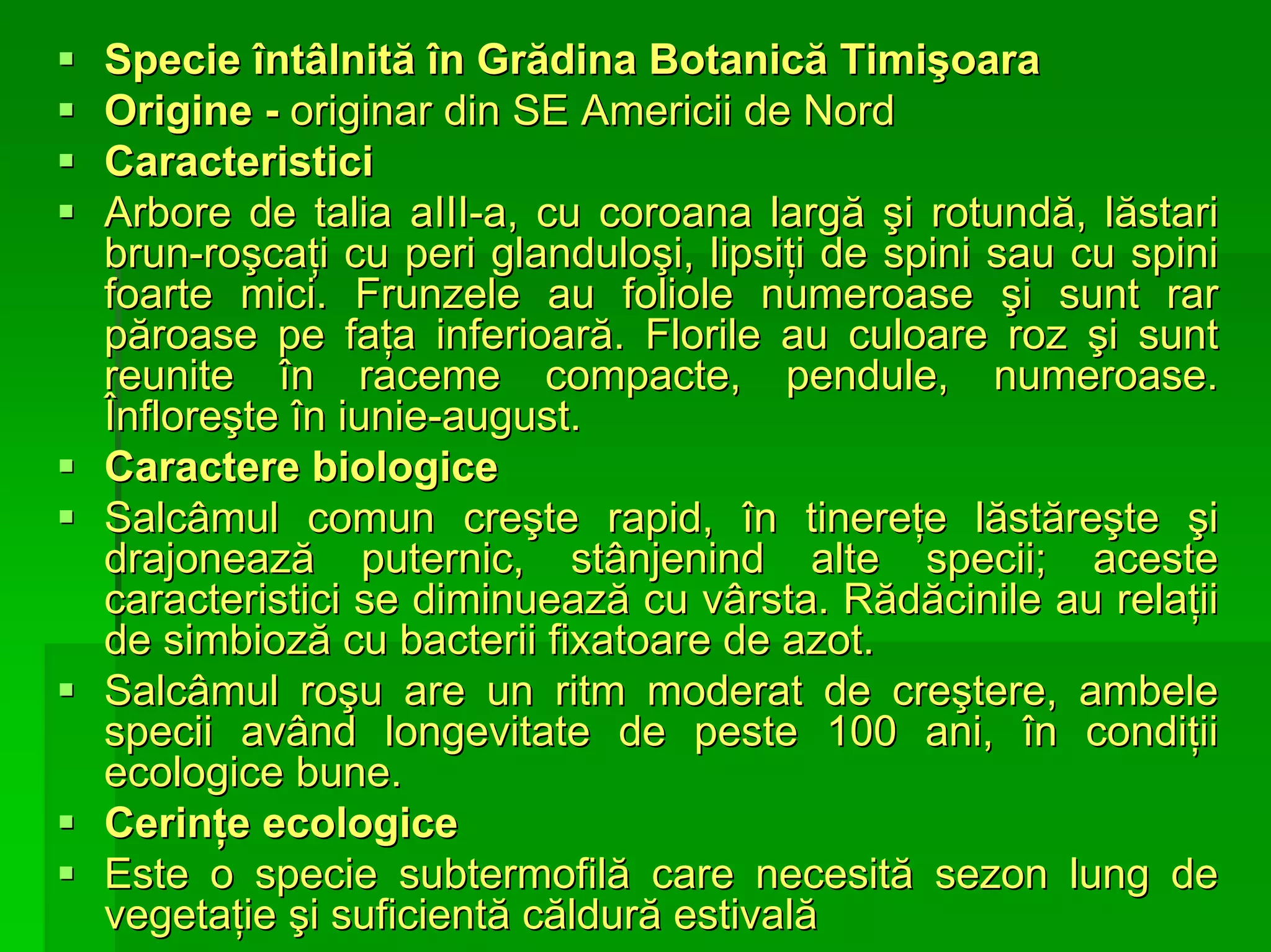 Arbori si arbusti deosebiti final | PDF