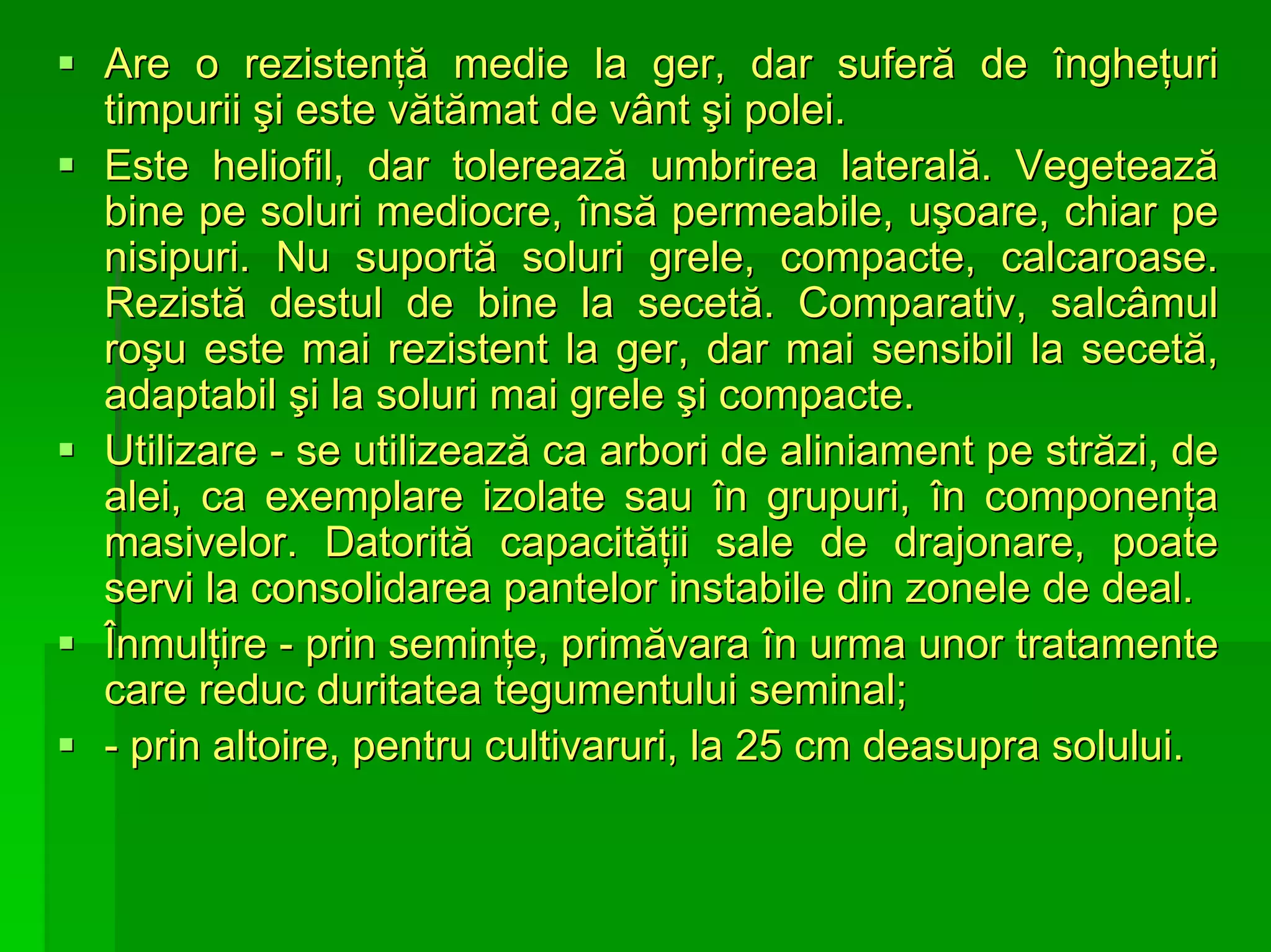 Arbori si arbusti deosebiti final | PDF