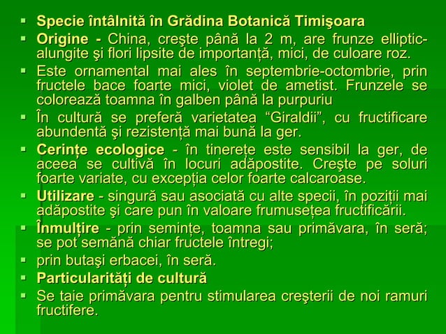 Arbori si arbusti deosebiti final | PPT