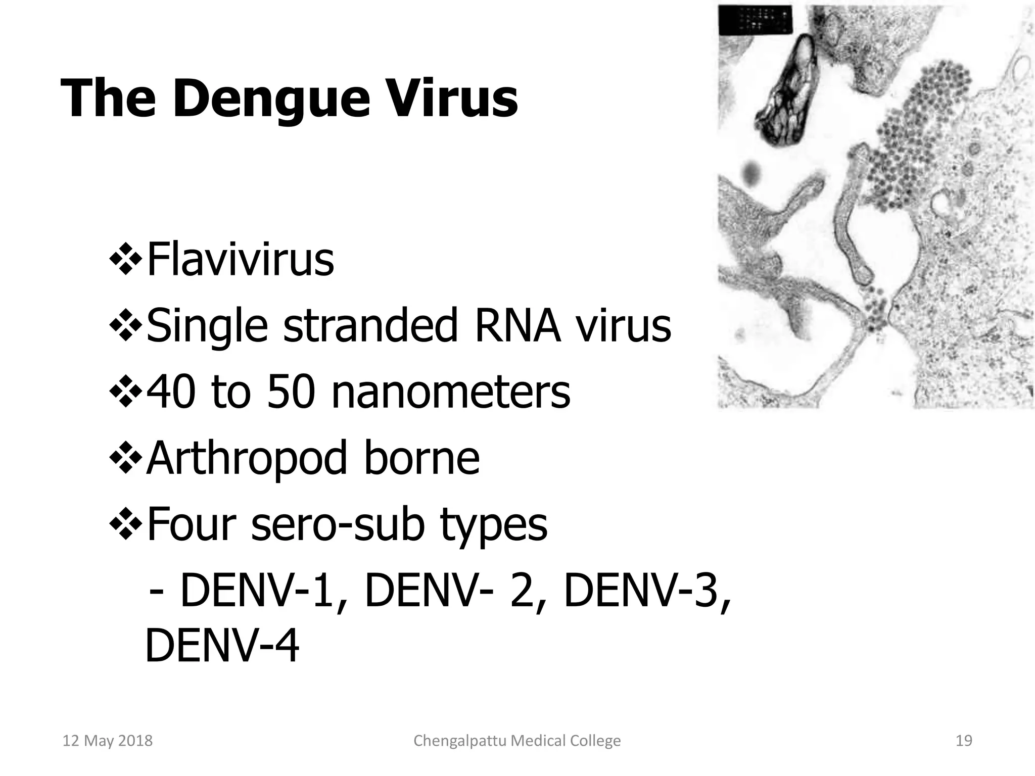 Arbo viral diseases | PPTX