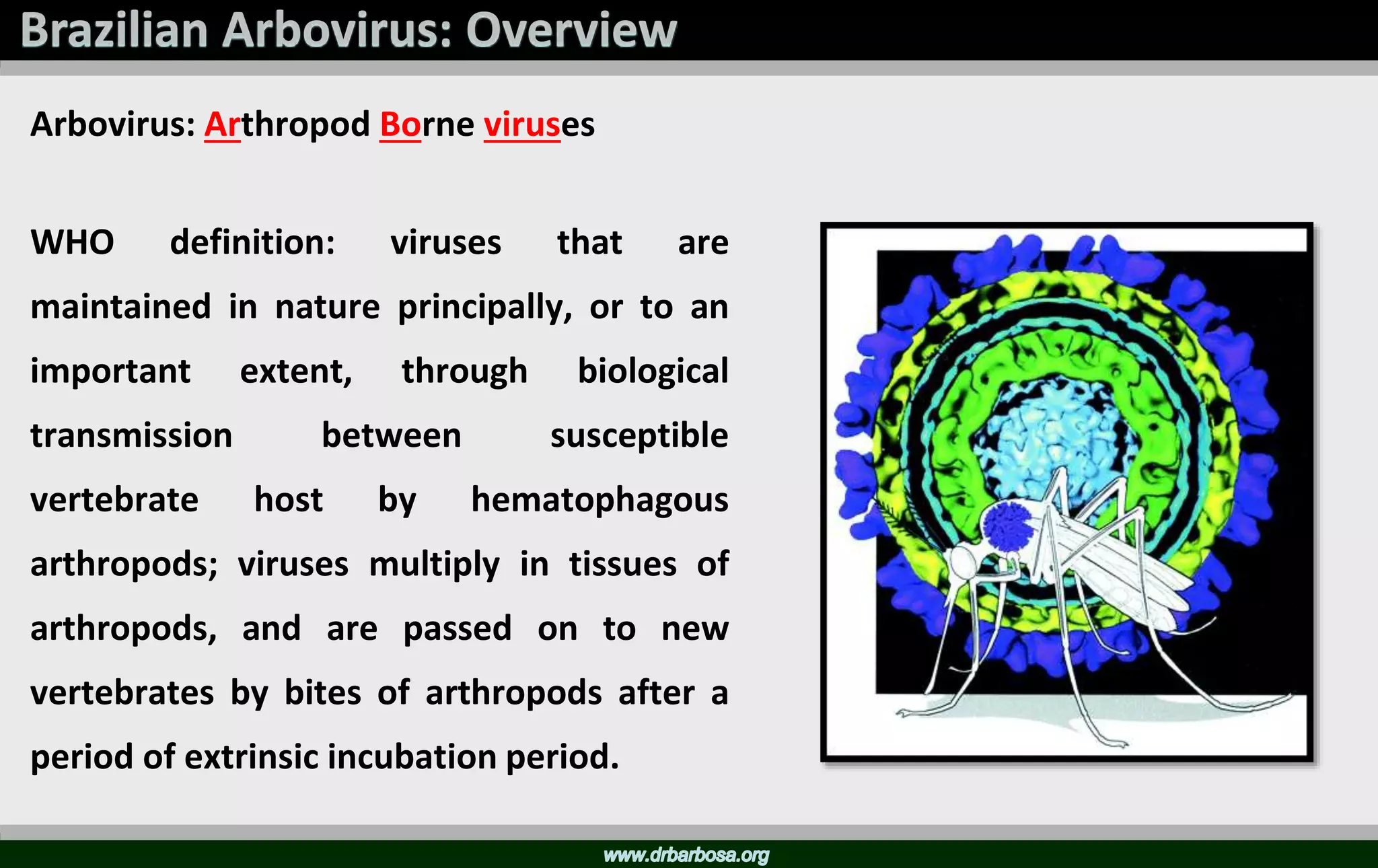 Arboviroses Chikungunya - Dengue - Febre Amarela - Zika 2016 | PPTX
