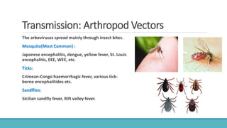Arbovirus An Overview | PPTX