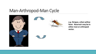 Arbovirus An Overview | PPTX