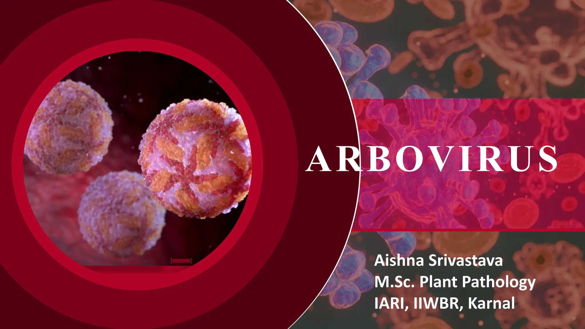 Introduction to ARBOVIRUS AND BACULOVIRUS | PDF