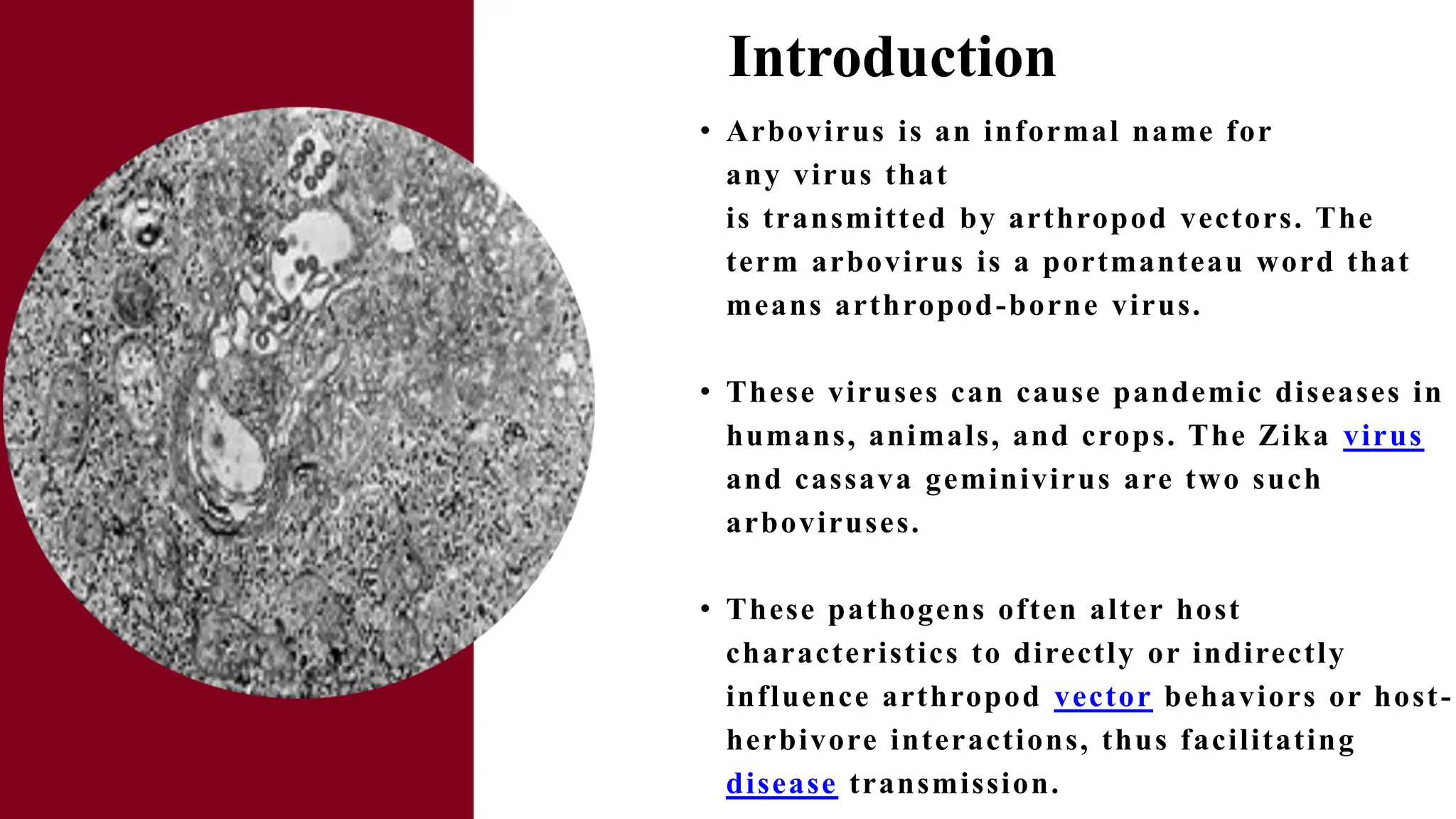 Introduction to ARBOVIRUS AND BACULOVIRUS | PDF