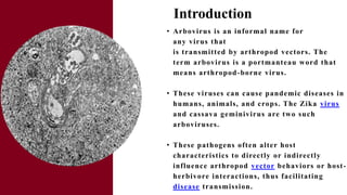 Introduction to ARBOVIRUS AND BACULOVIRUS | PDF
