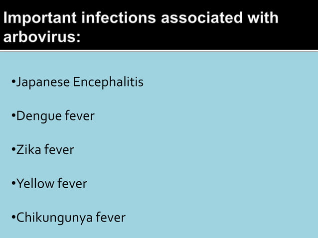 Arboviruses: Definition and Classification | PPTX | Infectious Diseases | Diseases and Conditions