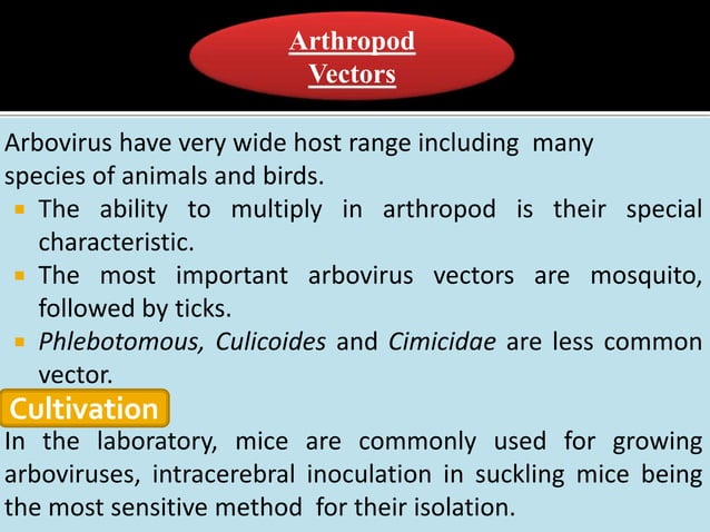 Arboviruses: Definition and Classification | PPTX | Infectious Diseases | Diseases and Conditions