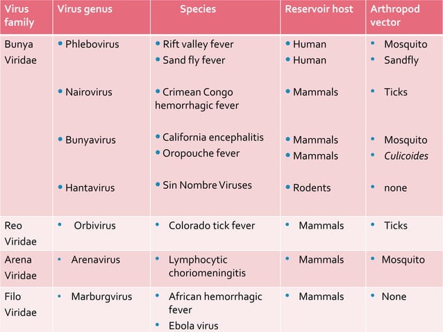 Arboviruses: Definition and Classification | PPTX | Infectious Diseases ...