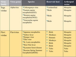 Arboviruses: Definition and Classification | PPT