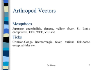 Arboviruses | PPT