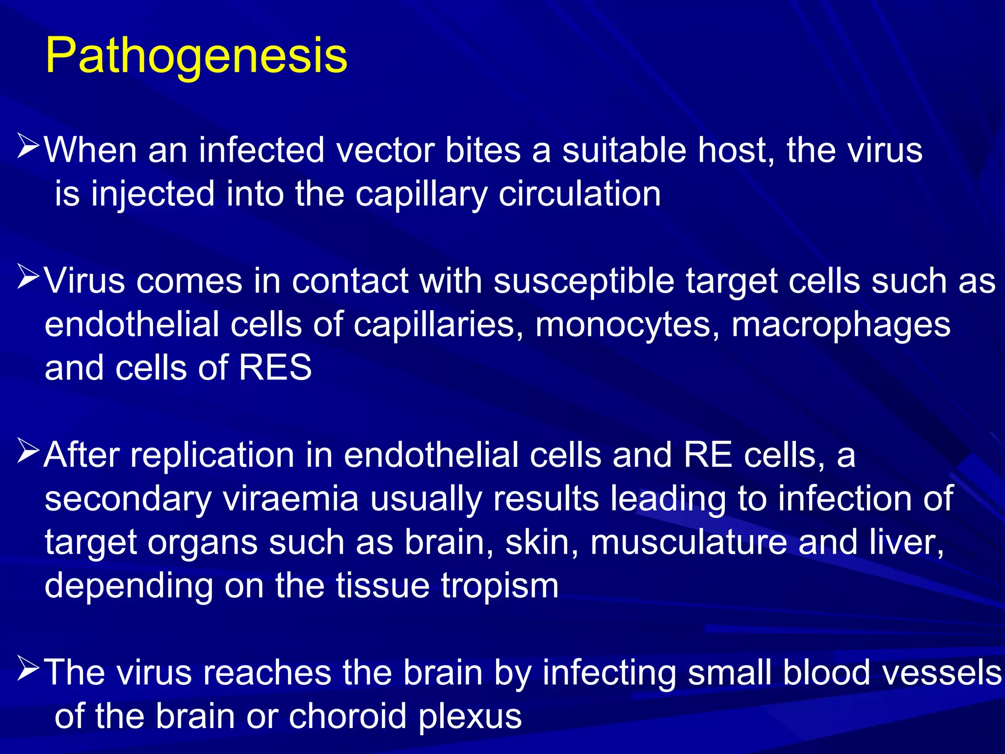 Arboviruses | PPT