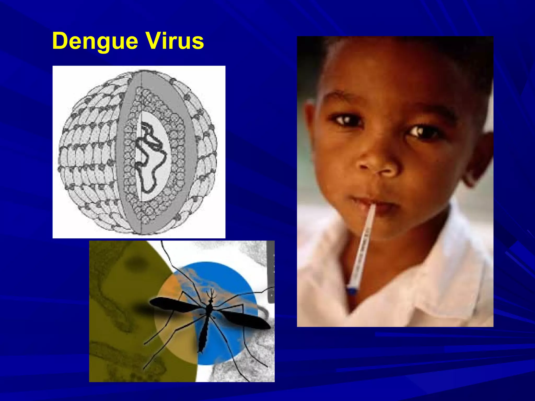 Arboviruses | PPT