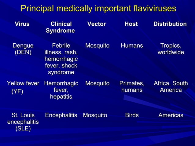 Arboviruses | PPT | Infectious Diseases | Diseases and Conditions
