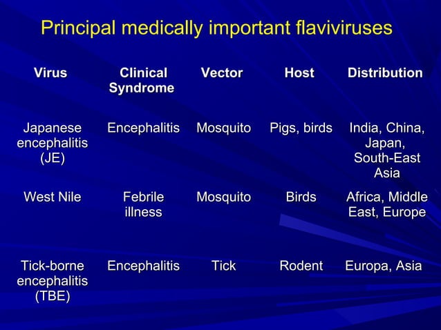 Arboviruses | PPT | Infectious Diseases | Diseases and Conditions