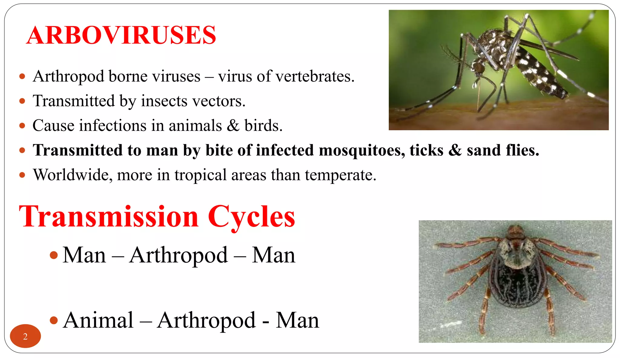 Arboviruses | PPTX