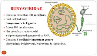 Arboviruses | PPTX