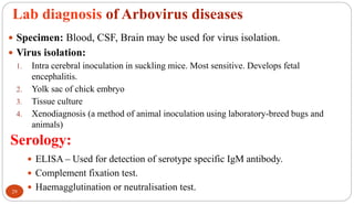 Arboviruses | PPTX