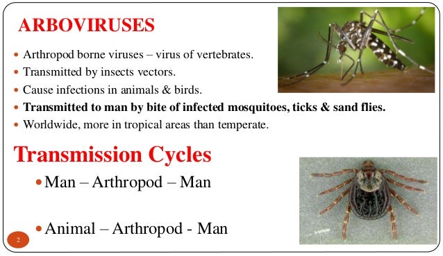 Arboviruses
