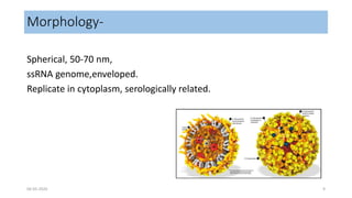 Arboviruses | PDF