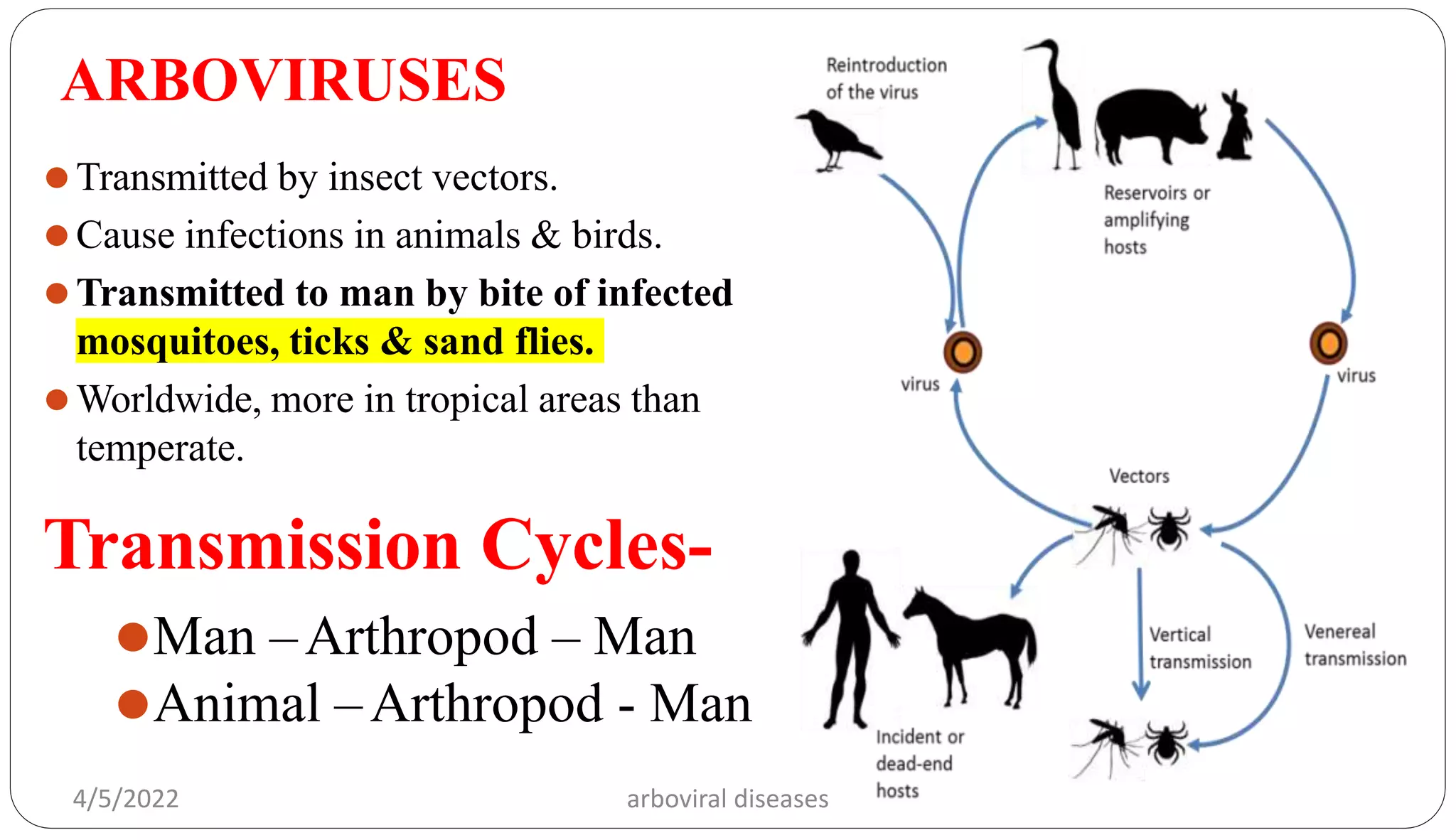 Arboviral infections in India. | PPTX