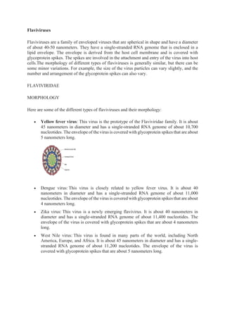 Arthropod Borne Viruses - ARBO Viruses. | PDF