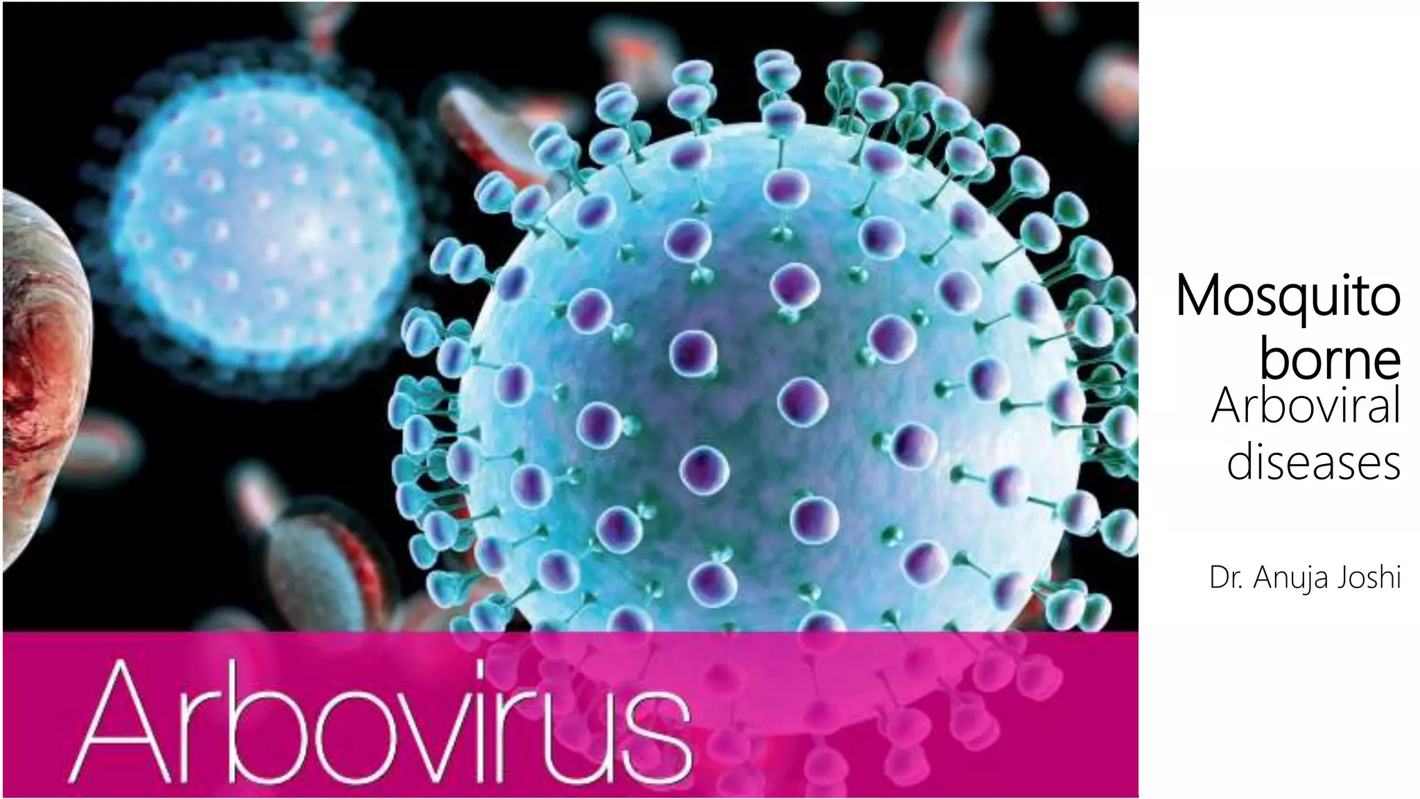 Comprehensive overview of Mosquito-borne Arboviruses | PPTX