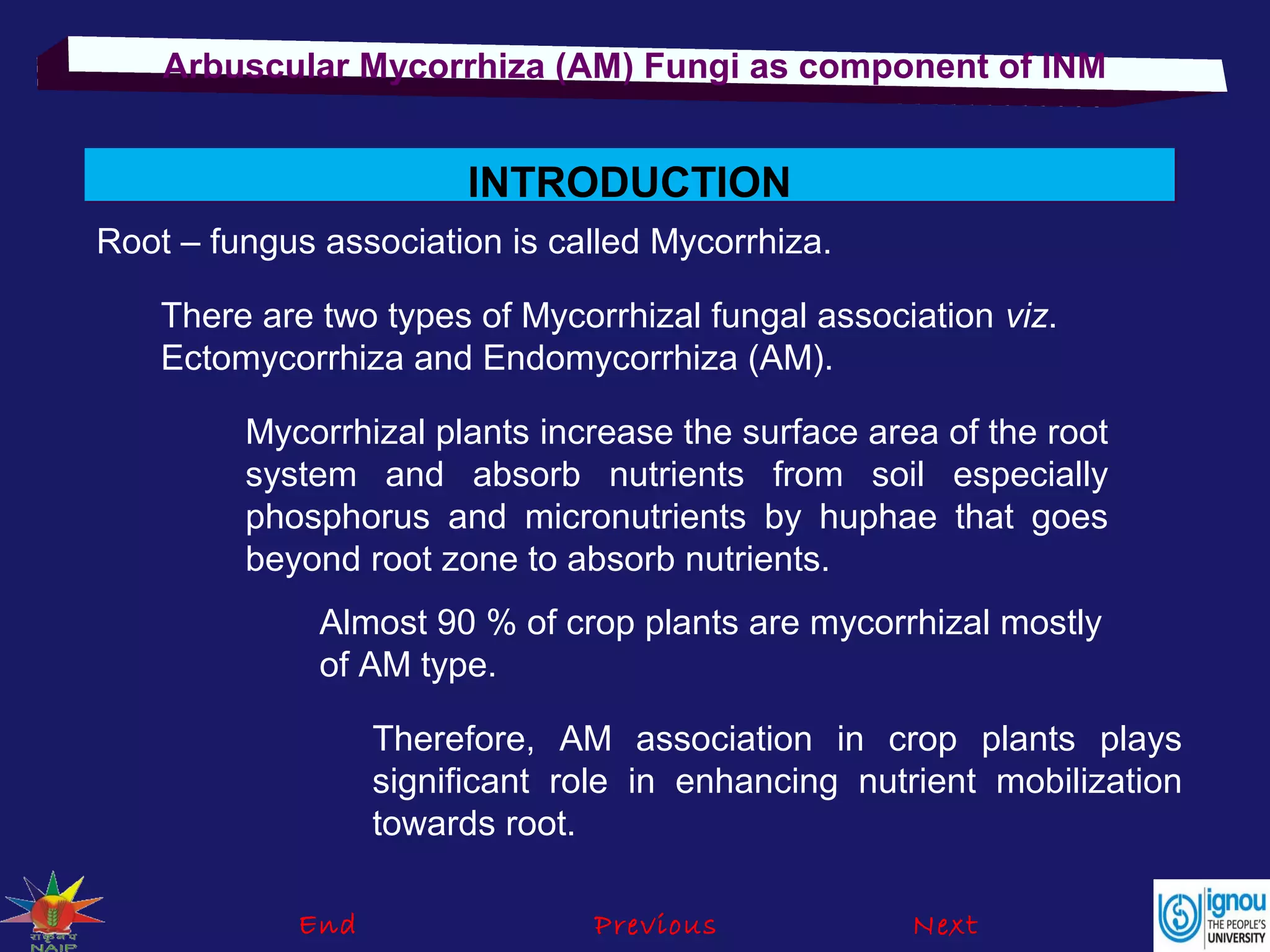 mycorrhizae as a component of inm 2 | PPT