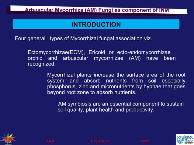mycorrhizae as a component of inm 2 | PPT