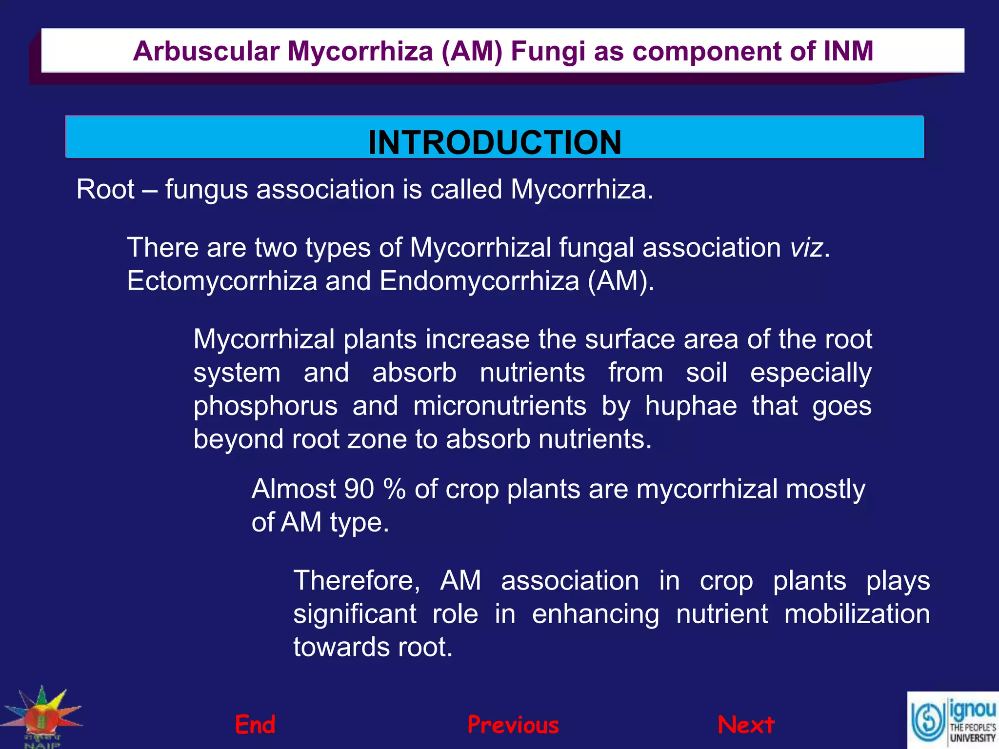 Arbuscular mycorrhizae as a component of INM_2.ppt