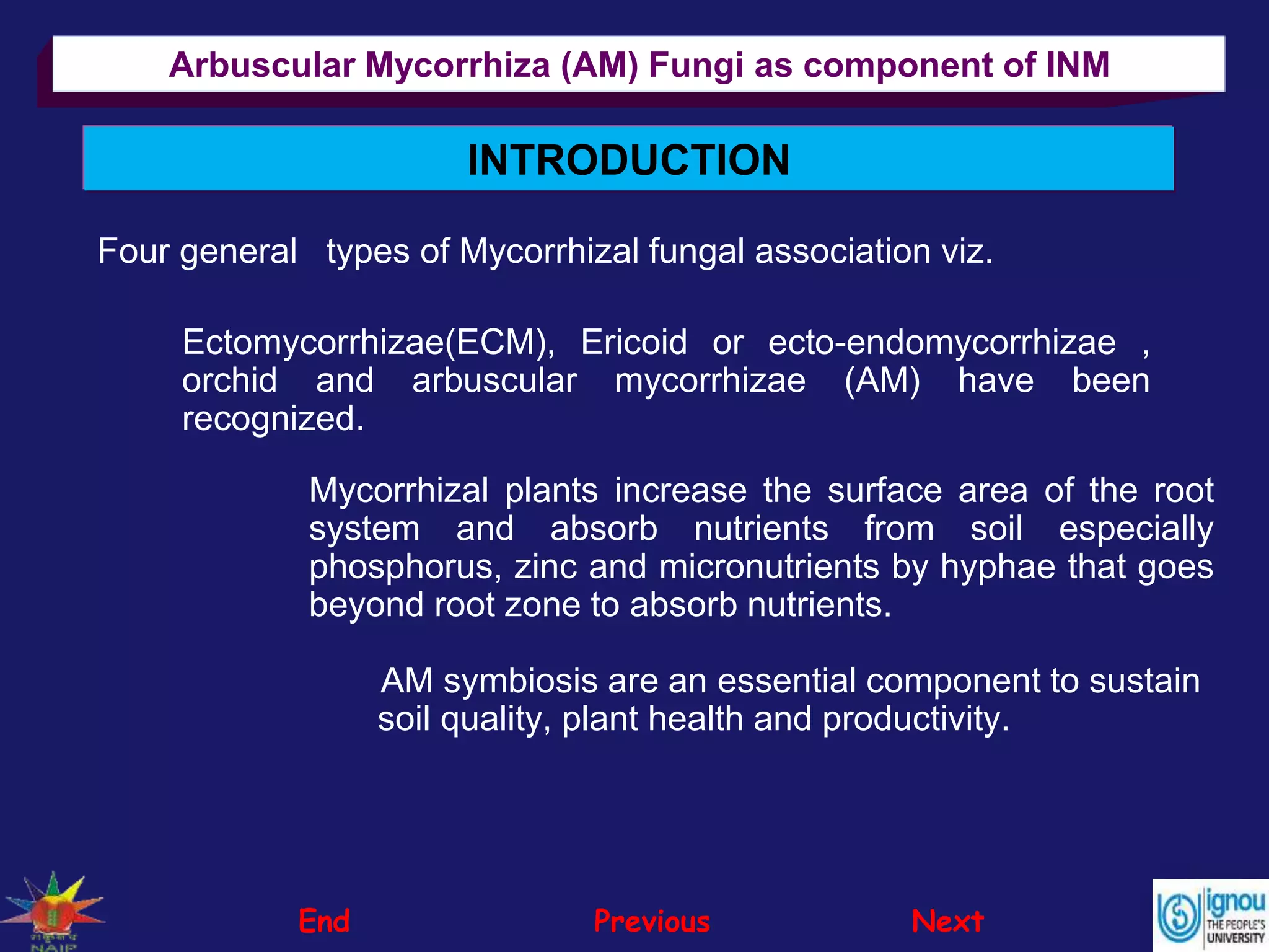 Arbuscular mycorrhizae as a component of INM_2.ppt