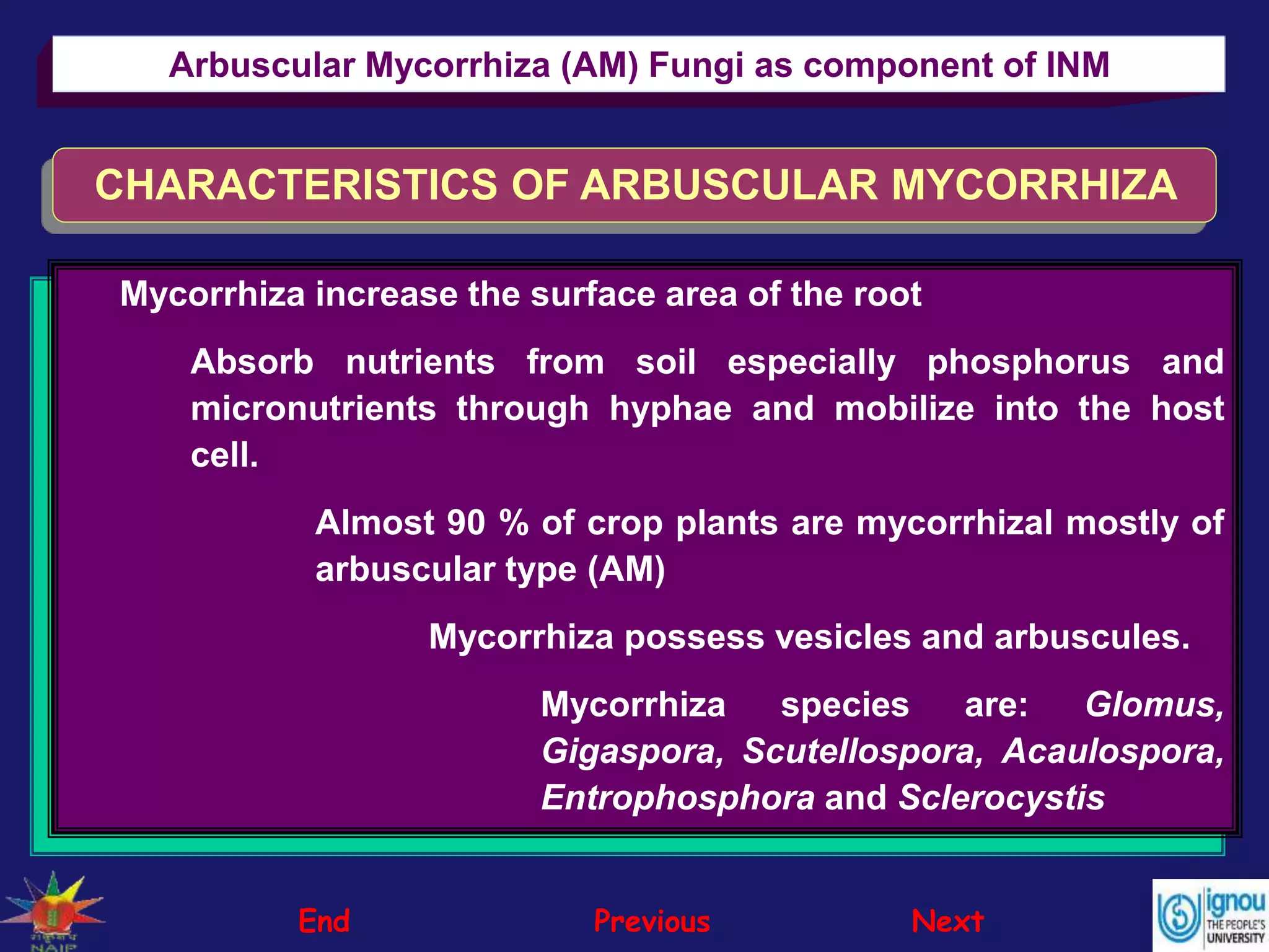 Arbuscular mycorrhizae as a component of INM_2.ppt