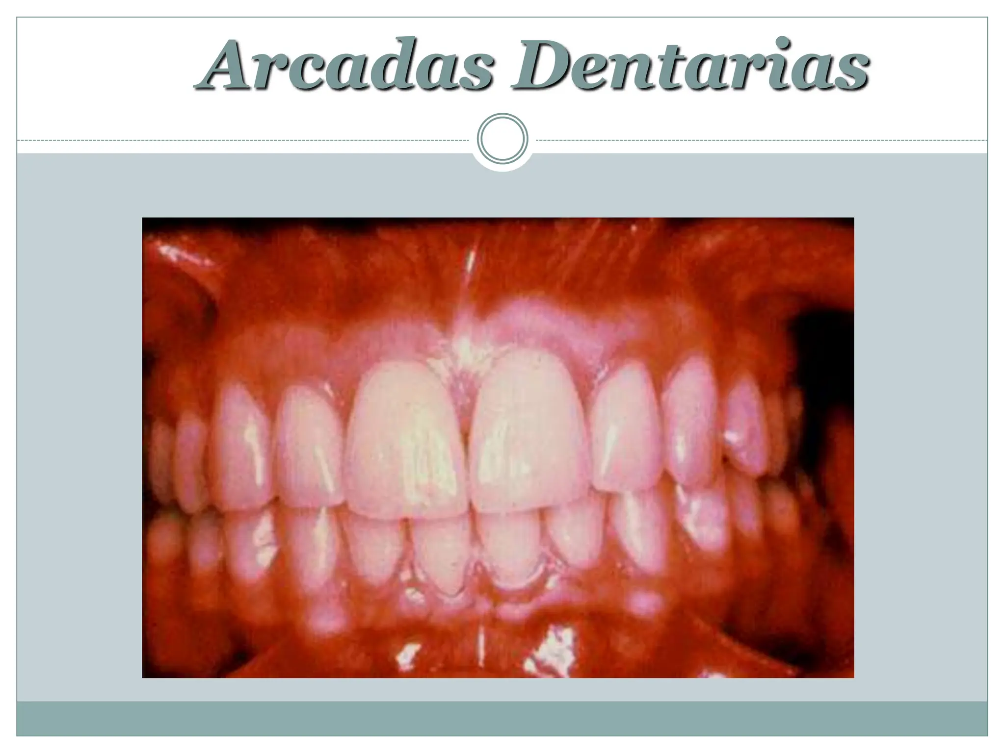 Anatomía dentaria - Arcadas-dentarias.ppt