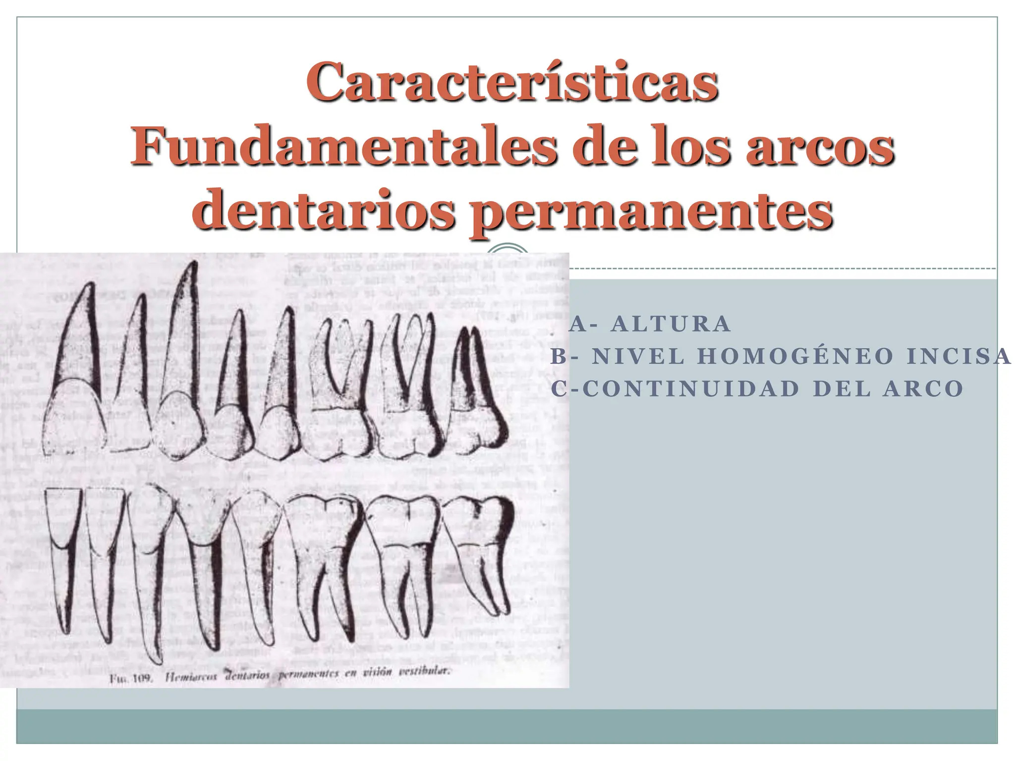 Anatomía dentaria - Arcadas-dentarias.ppt