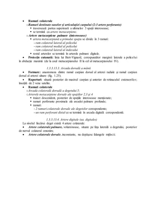 arcadele mainii.docx