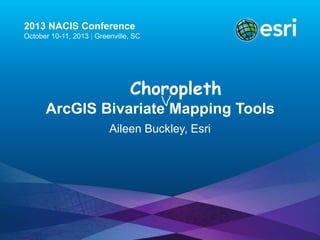 ArcGIS Bivariate Mapping Tools | PPTX