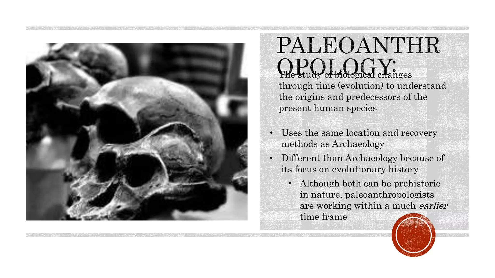 Archaeology 101 | PPTX