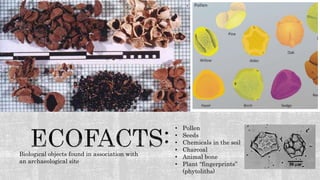 Archaeology 101 | PPTX