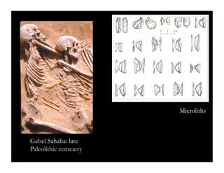 ARCH 150 1 prehistory.pdf