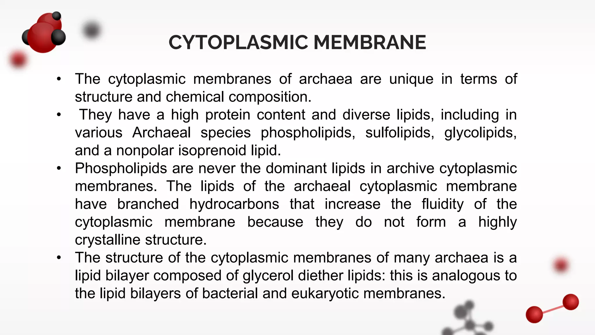 Archaea Bacteria Methanogens Halophiles Thermophiles Pdf