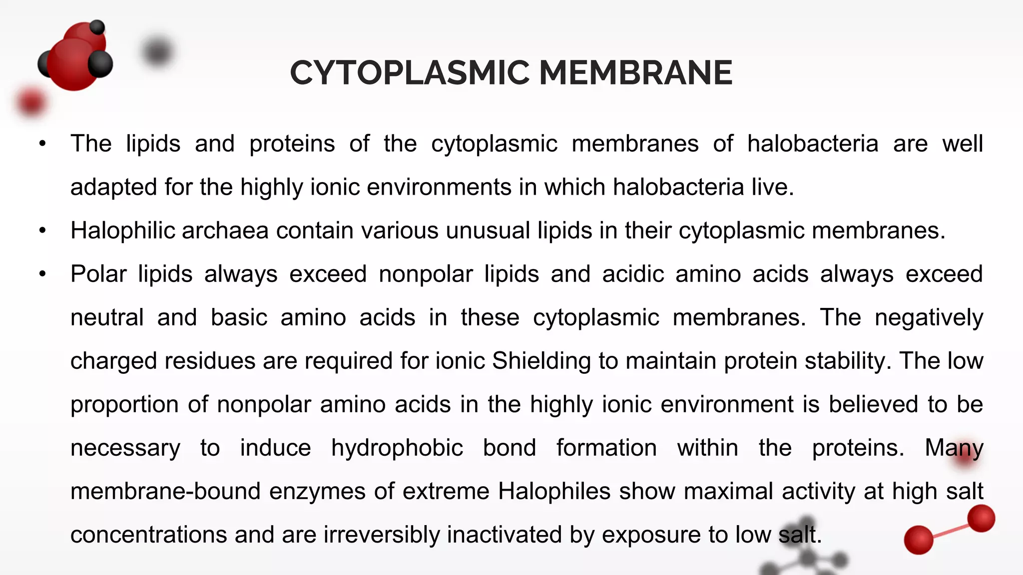 Archaea Bacteria (Methanogens, Halophiles, Thermophiles) | PDF