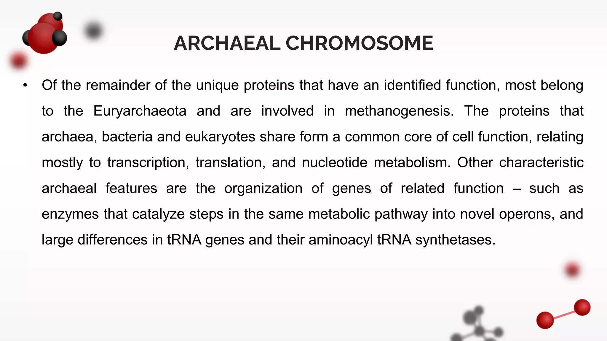 Archaea Bacteria (Methanogens, Halophiles, Thermophiles) | PDF