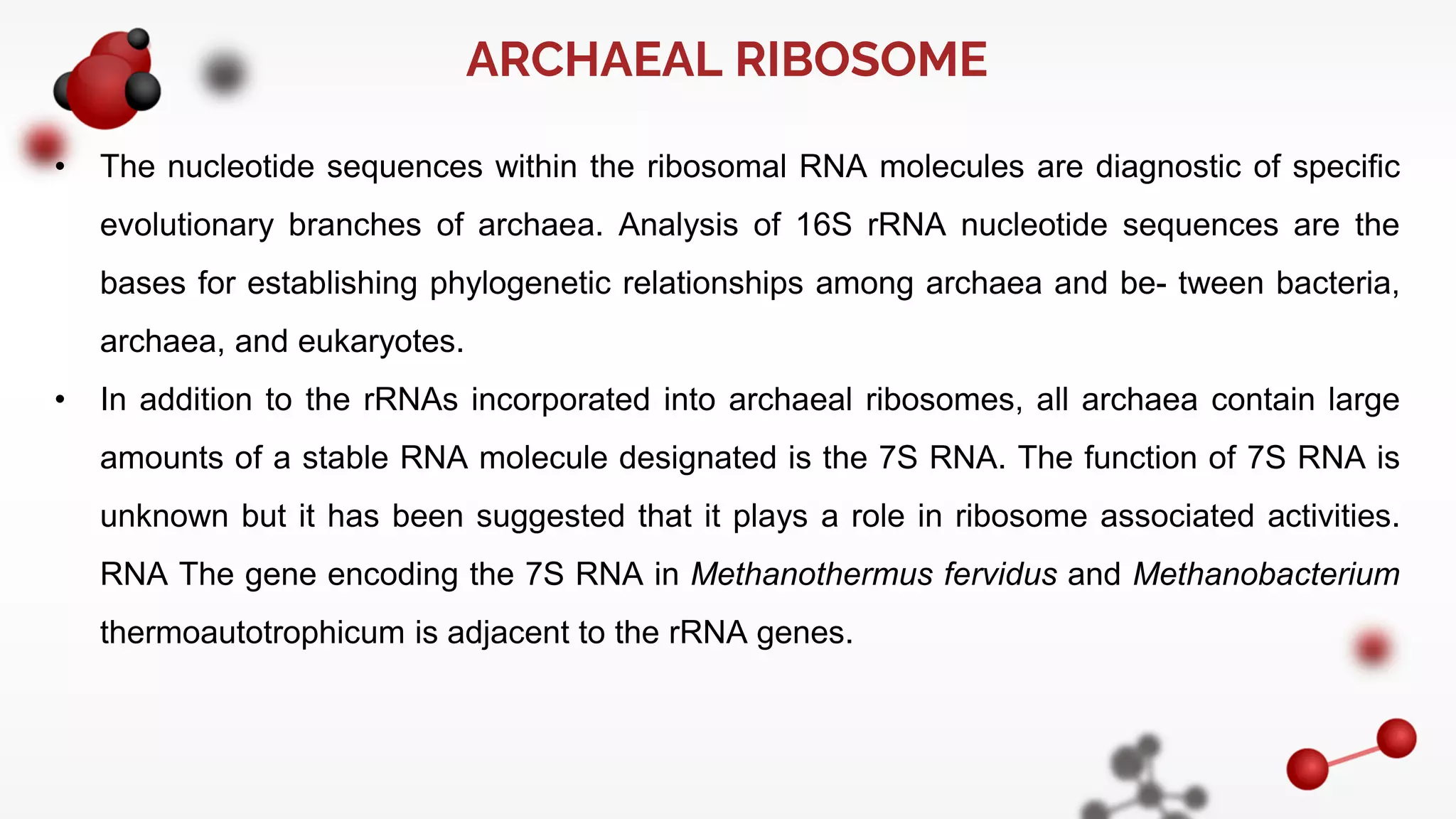 Archaea Bacteria (Methanogens, Halophiles, Thermophiles) | PDF