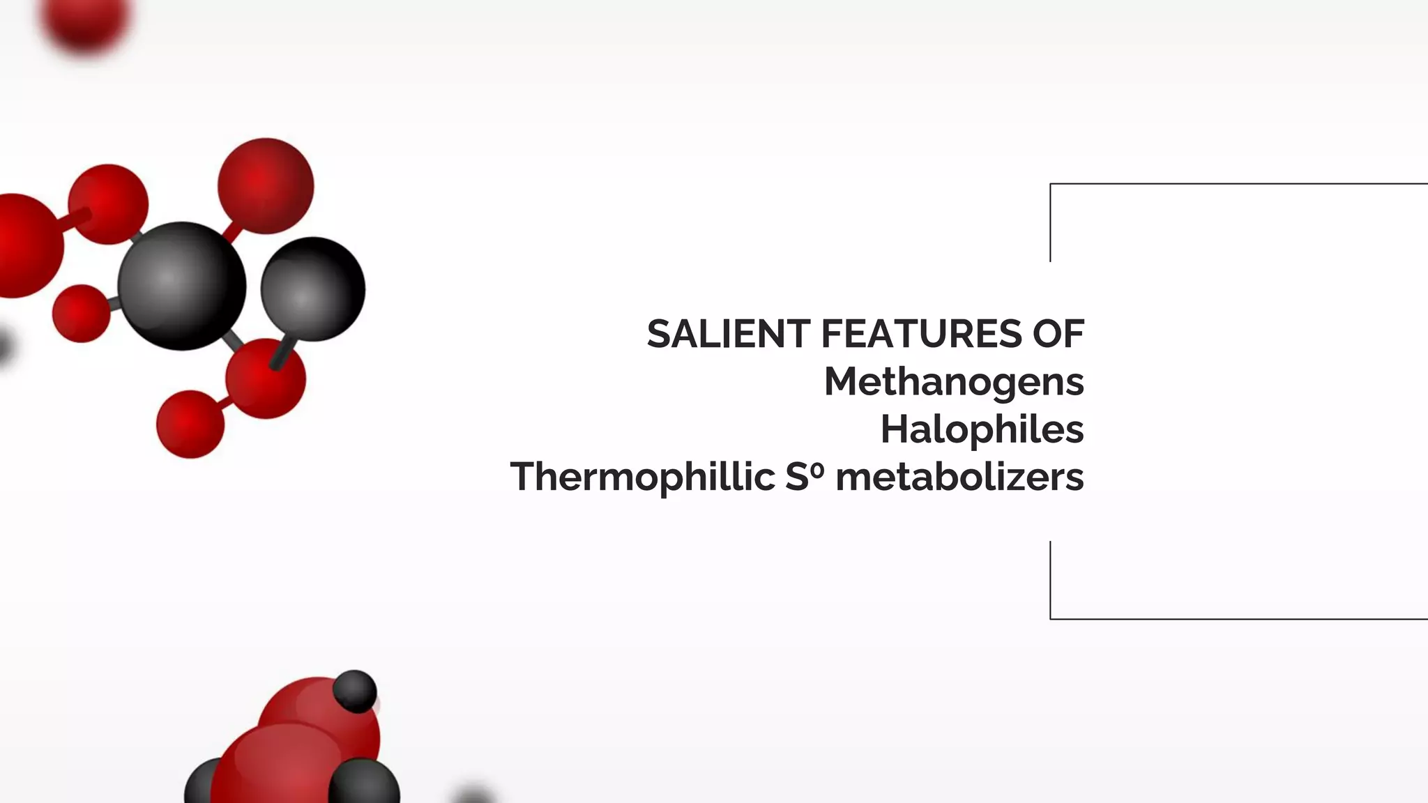 Archaea Bacteria (Methanogens, Halophiles, Thermophiles) | PDF