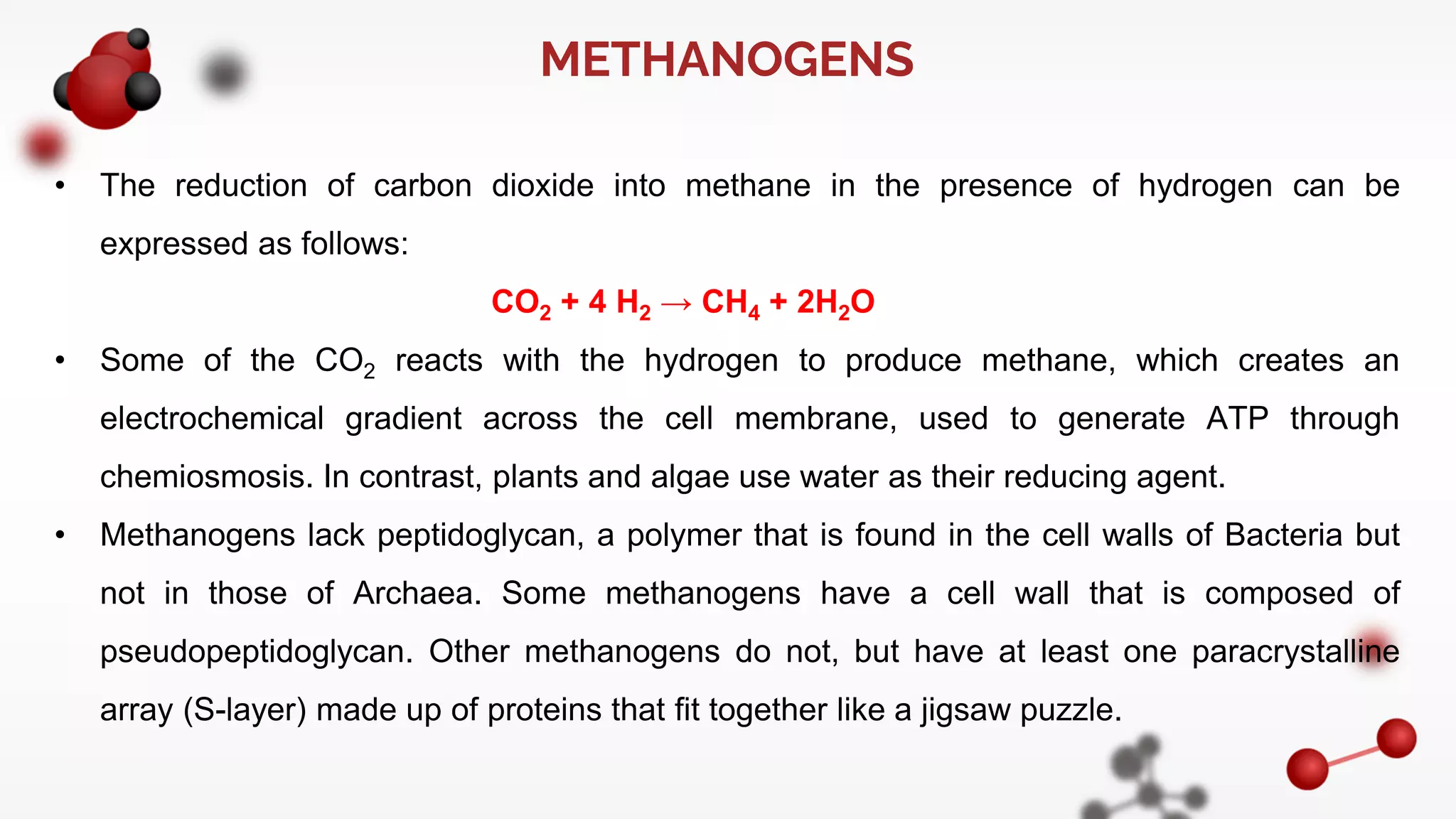 Archaea Bacteria (Methanogens, Halophiles, Thermophiles) | PDF