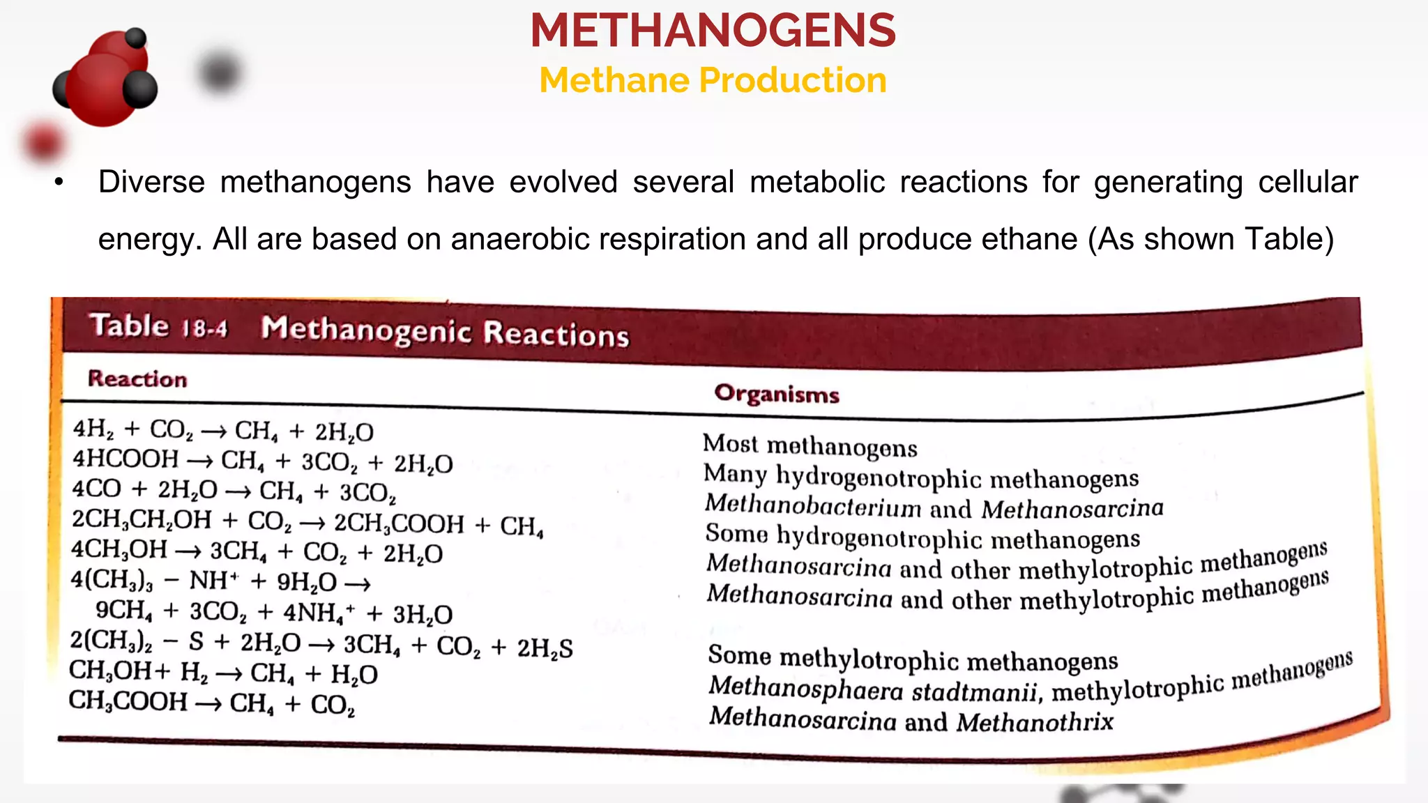 Archaea Bacteria (Methanogens, Halophiles, Thermophiles) | PDF