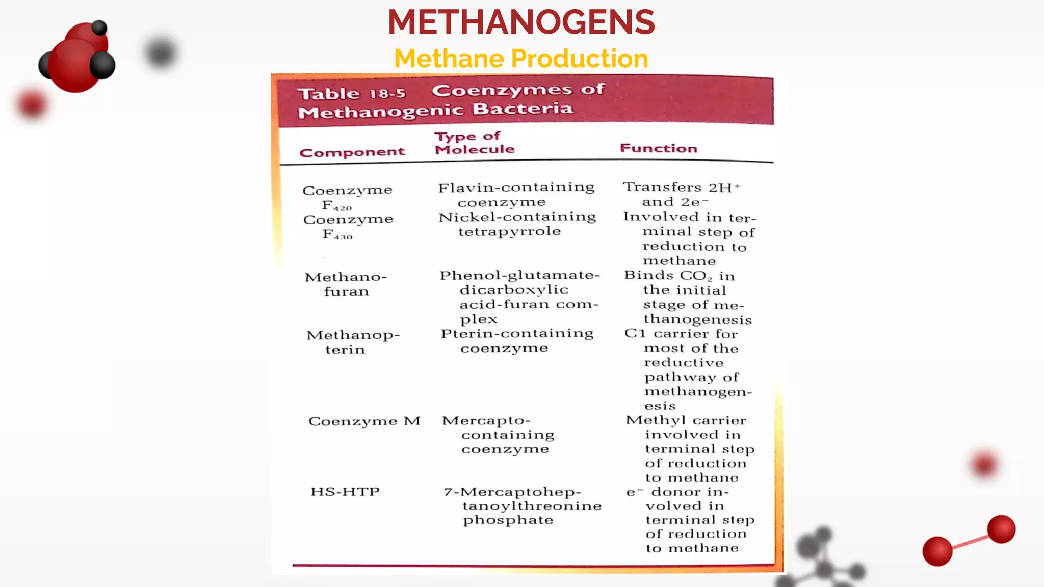 Archaea Bacteria (Methanogens, Halophiles, Thermophiles) | PDF